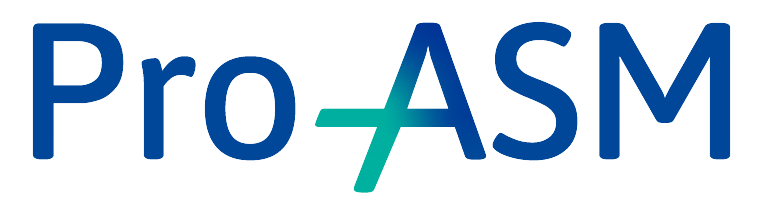 Pro-ASM Respiratory Masks